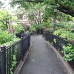 NYC Greenwich Village Self-Guided Walking Tour & Scavenger Hunt - Authentic Perspectives from Participants