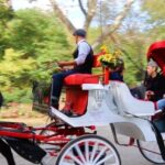 NYC: Guided Standard Central Park Carriage Ride (4 Adults) - Who Should Book This Tour?