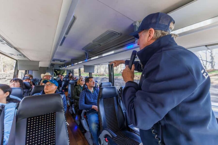 NYC: Half-Day Luxury Bus Tour with Empire State Access - What the Experience Feels Like