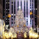 NYC: Holiday Lights and Dyker Heights Luxury Bus Tour - Why This Tour Works for Different Travelers