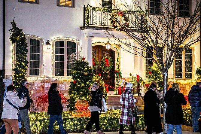 NYC Holiday Lights and Dyker Heights Luxury Bus Tour - Who Will Love This Tour?