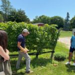 NYC: Long Island Sommelier-Guided Wine Tasting Tour - Insights from Authentic Reviews