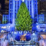NYC: Magical Christmas Lights Carriage Ride - The Itinerary: What You’ll See and Experience