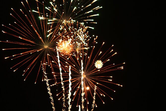 NYC New Years Eve Fireworks Cruise & Plated Dinner, Open Bar - Final Thoughts