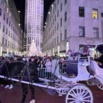 NYC: Private Central Park and NYC City Tour - The Value of a Private, Guided Ride