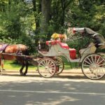 NYC Private Central Park Horse Carriage Ride with Guide - How the Tour Is Structured
