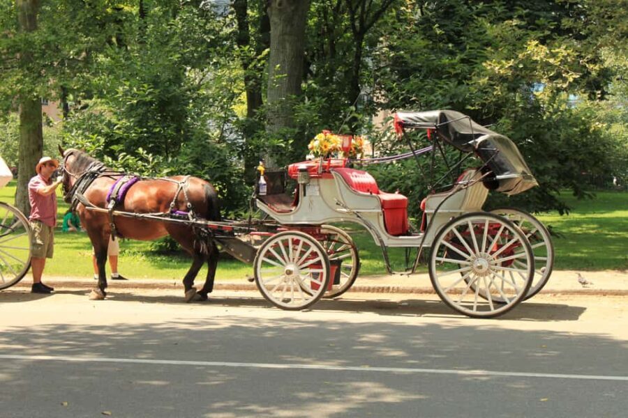 NYC Private Central Park Horse Carriage Ride with Guide - How the Tour Is Structured