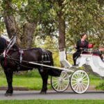 NYC: Private Central Park Horse Carriage Ride with Guide - The horses and the carriage—comfort and care