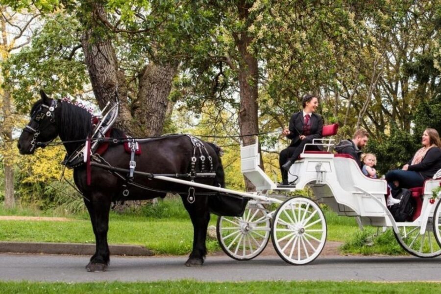 NYC: Private Central Park Horse Carriage Ride with Guide - The horses and the carriage—comfort and care