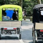 NYC: Private Central Park Pedicab Tours / PICKUP FROM MUSEUM - A Closer Look at the Experience