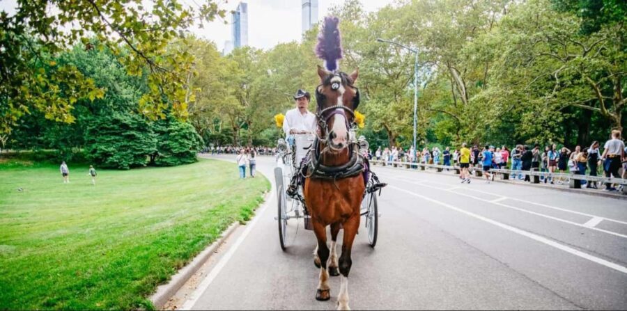 NYC: Private Christmas Lights Horse Carriage Ride - Authentic Experiences & Traveler Feedback