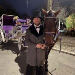 NYC: Private Christmas Lights Horse Carriage Ride - Final Thoughts