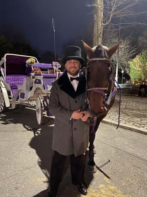 NYC: Private Christmas Lights Horse Carriage Ride - Final Thoughts