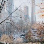 NYC Private Walking Tour with Professional Guide - What’s Included and What’s Not?