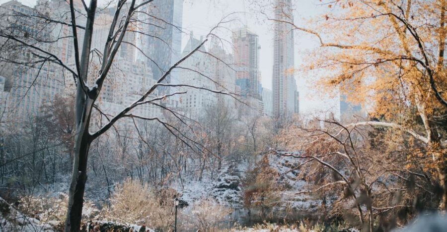 NYC Private Walking Tour with Professional Guide - What’s Included and What’s Not?