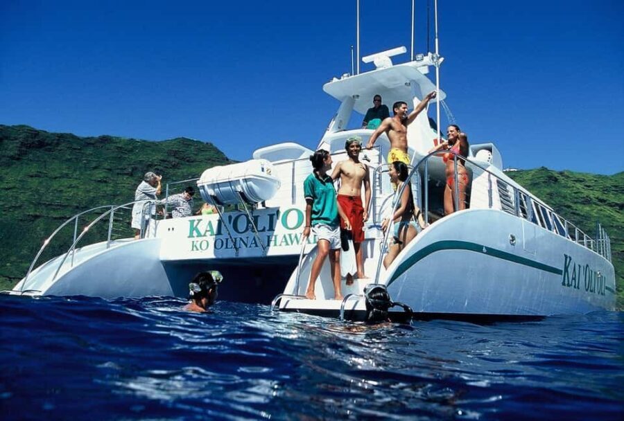 Oahu: 3 Zipline & All Inclusive Dolphin Watch Snorkel Cruise - Transitioning from Land to Sea: From Adventure to Relaxation