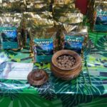 Oahu: Beauty and the Feast Circle Island Experience - What to Expect from the Experience