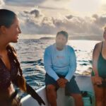 Oahu: Cageless Shark Dive Adventure - What Does the Tour Include and What’s Not?