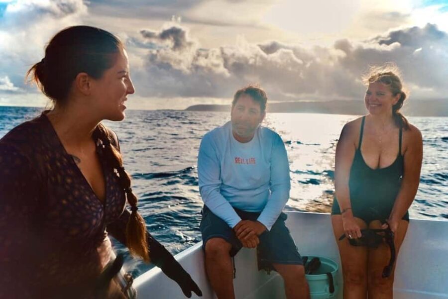 Oahu: Cageless Shark Dive Adventure - What Does the Tour Include and What’s Not?