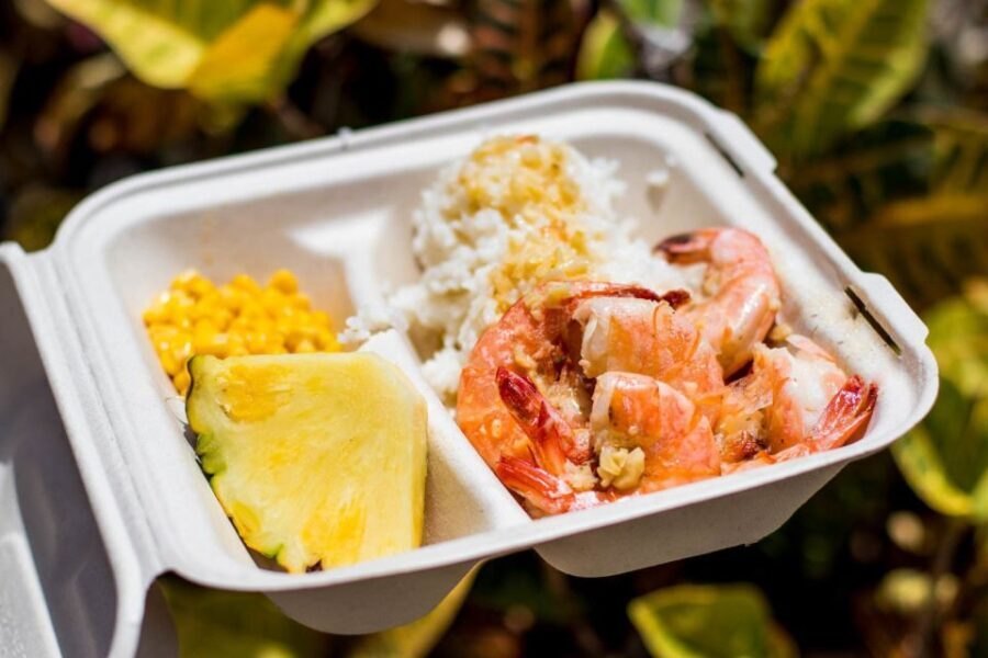 Oahu: Circle Island Day Trip with Shrimp Plate Lunch - Exploring the Itinerary: A Breakdown of the Day