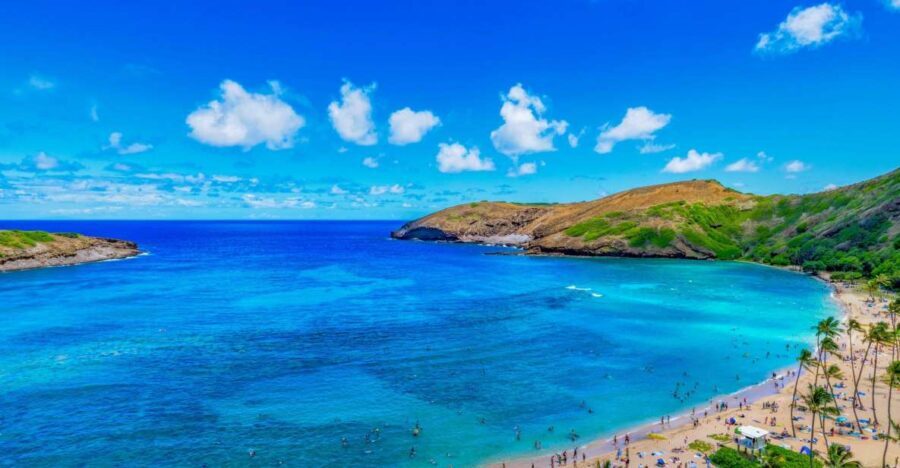 Oahu: Circle Island Top Sights Full-Day Tour w/ Local Guide - Exploring the South Shore: Beaches and Historic Views