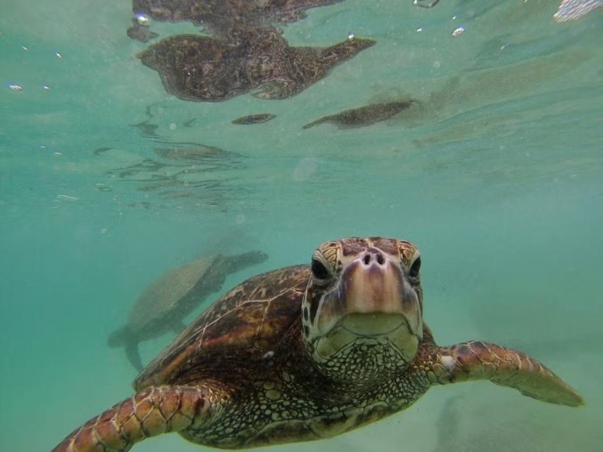 Oahu: Custom Private Island Tour of O'ahu - The Itinerary Breakdown: What Makes Each Stop Special