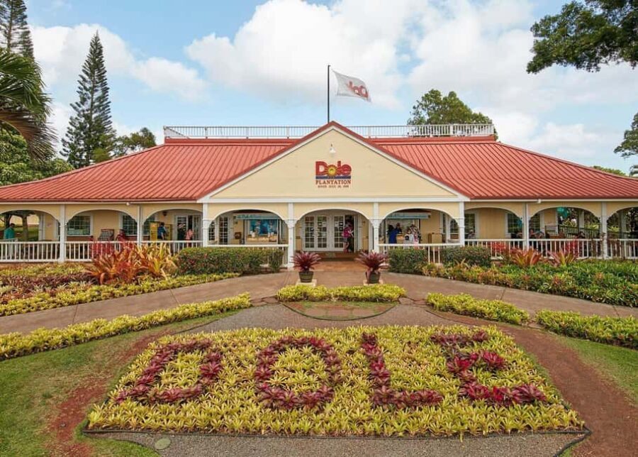 Oahu: Dole Plantation & Haleiwa Express Deluxe Tour - A Detailed Look at the Tour