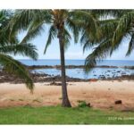 Oahu: Explore North Shore by E-Bike & Snorkel (Self-Guided) - The Snorkeling Experience