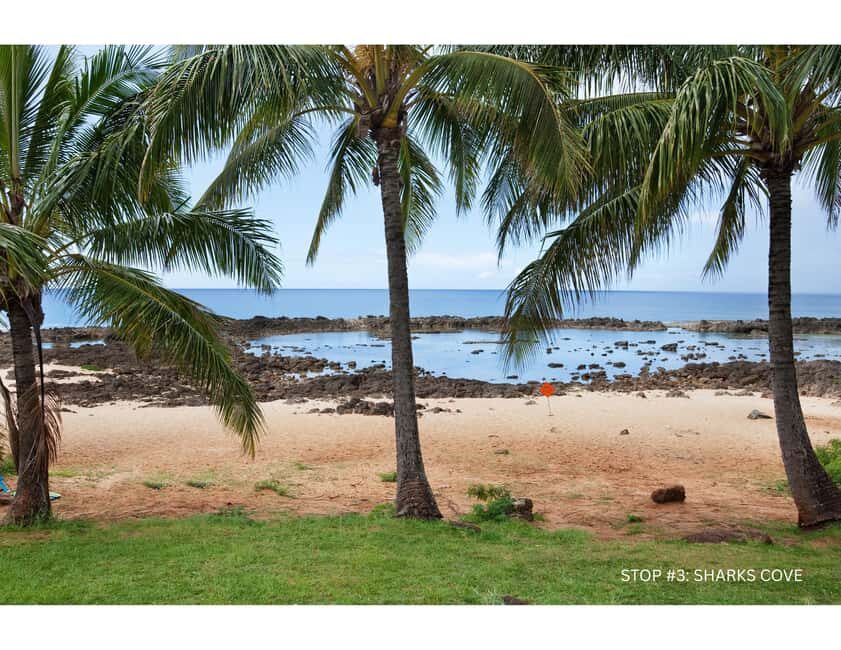 Oahu: Explore North Shore by E-Bike & Snorkel (Self-Guided) - The Snorkeling Experience