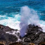 Oahu: Grand Circle Island Tour with Haleiwa - What Makes This Tour Stand Out?