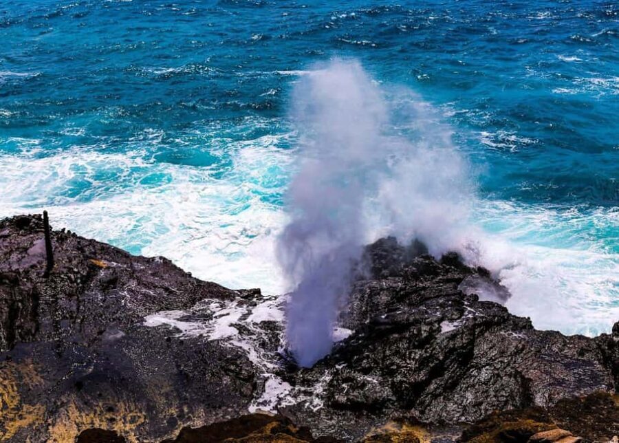 Oahu: Grand Circle Island Tour with Haleiwa - What Makes This Tour Stand Out?