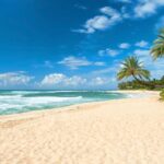 Oahu: Guided Tour of North Shore and Waimea Botanical Garden - The Itinerary in Detail: What You Can Expect