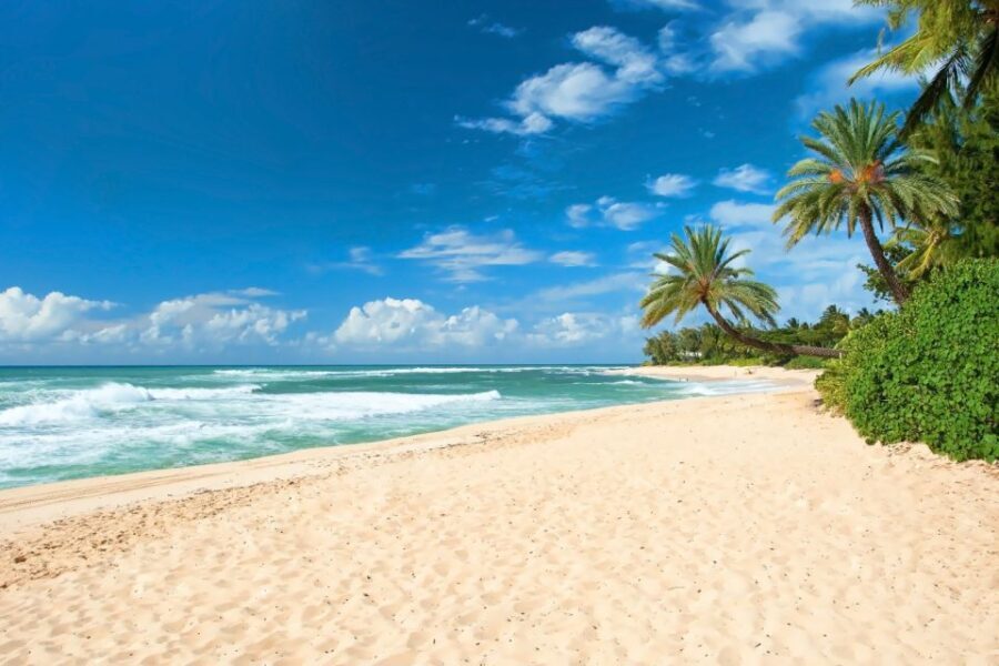 Oahu: Guided Tour of North Shore and Waimea Botanical Garden - The Itinerary in Detail: What You Can Expect