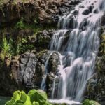Oahu Hidden Gems & Waimea Botanical Garden/Waterfall tour - Transportation and Group Size