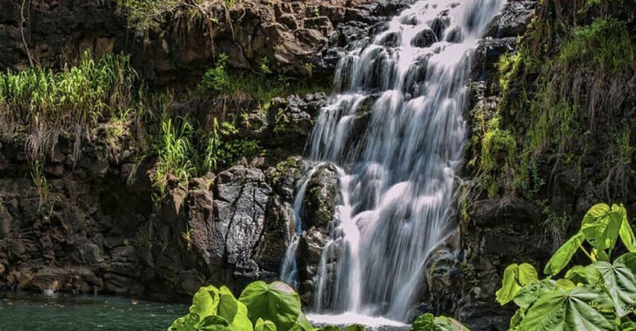 Oahu Hidden Gems & Waimea Botanical Garden/Waterfall tour - Transportation and Group Size
