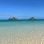 Oahu: Hidden Hawaii Waterfall Hike and Beach Tour - An In-Depth Look at What You Can Expect
