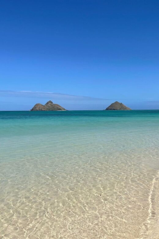 Oahu: Hidden Hawaii Waterfall Hike and Beach Tour - An In-Depth Look at What You Can Expect