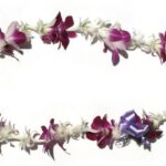 Oahu: Honolulu Airport (HNL) Traditional Lei Greeting - Breakdown of the Experience