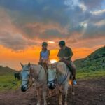 Oahu: Horseback Riding Sunshine or Sunset Tour - Who Should Consider This Tour?