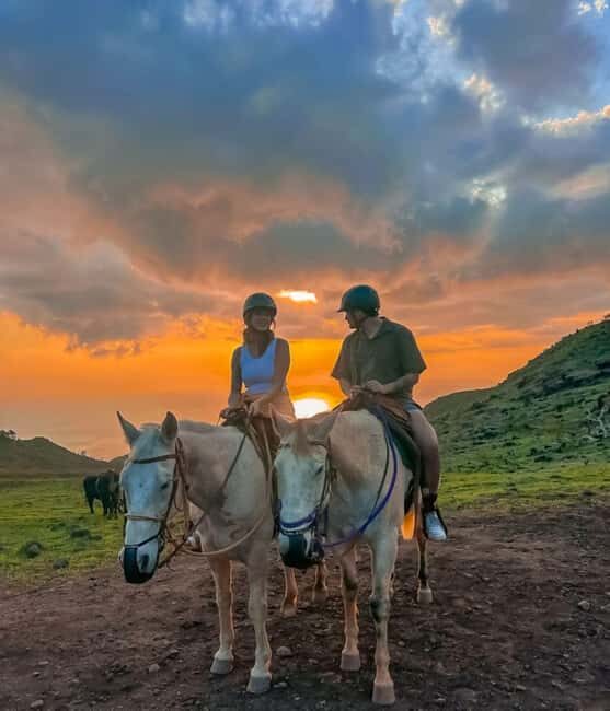 Oahu: Horseback Riding Sunshine or Sunset Tour - Who Should Consider This Tour?