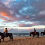 Oahu: Horseback Riding Tour on the North Shore - Planning Your Visit