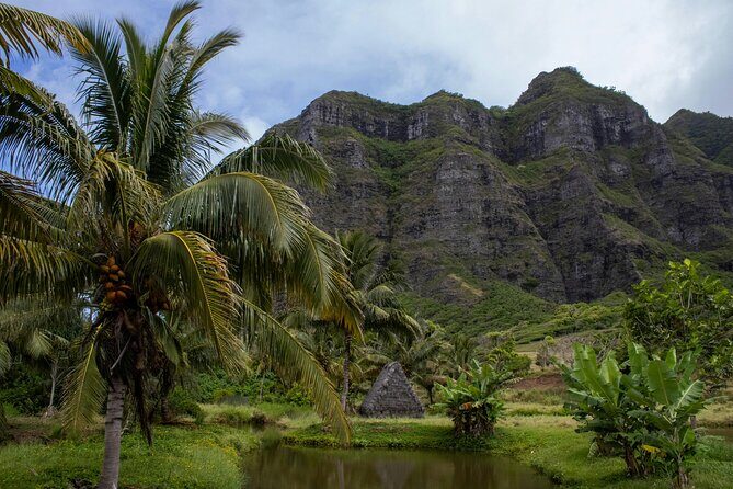Oahu in a Day Private tour Figure 8 Adventure - The Practicalities: What to Know