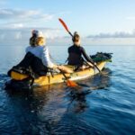 Oahu: Kaneohe Bay Coral Reef Kayaking Rental - Who Should Consider This Experience?