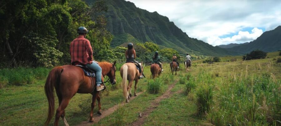 Oahu: Kualoa Hills and Valleys Horseback Riding Tour - What the Tour Entails