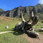 Oahu: Kualoa Movie Sites, Jungle, and Buffet Tour Package - What to Know Before You Go