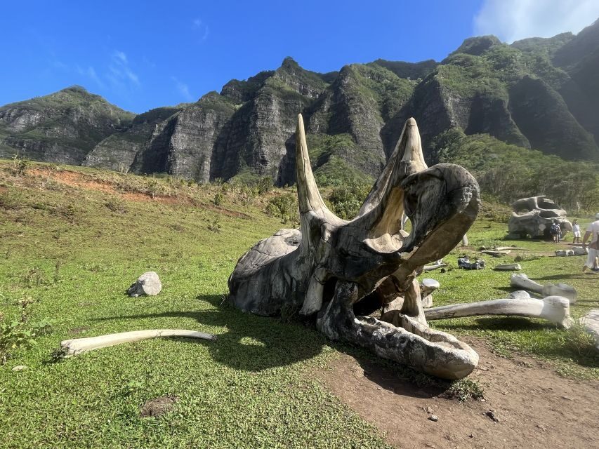 Oahu: Kualoa Movie Sites, Jungle, and Buffet Tour Package - What to Know Before You Go