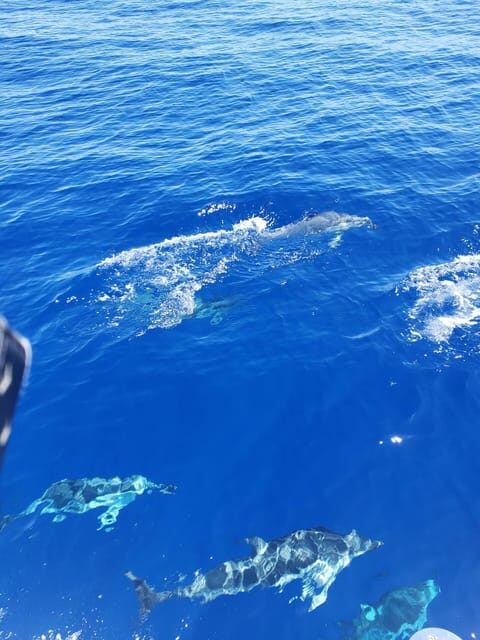 Oahu: Luxury Day Sailboat Charter - Authentic Voices and Real Experiences