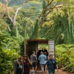 Oahu: Manoa Falls Waterfall Hike with Lunch and Transfers - What’s Included and How It Adds Value