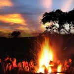 Oahu: Night Zipline Adventure (3 Lines) - What to Expect During the Tour