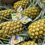 Oahu: North Shore Dole Pineapple Farm Tour - The Value and Practicalities